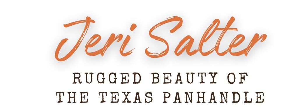 PPHM, AMoA to host reception for new exhibition showcasing landscapes ...