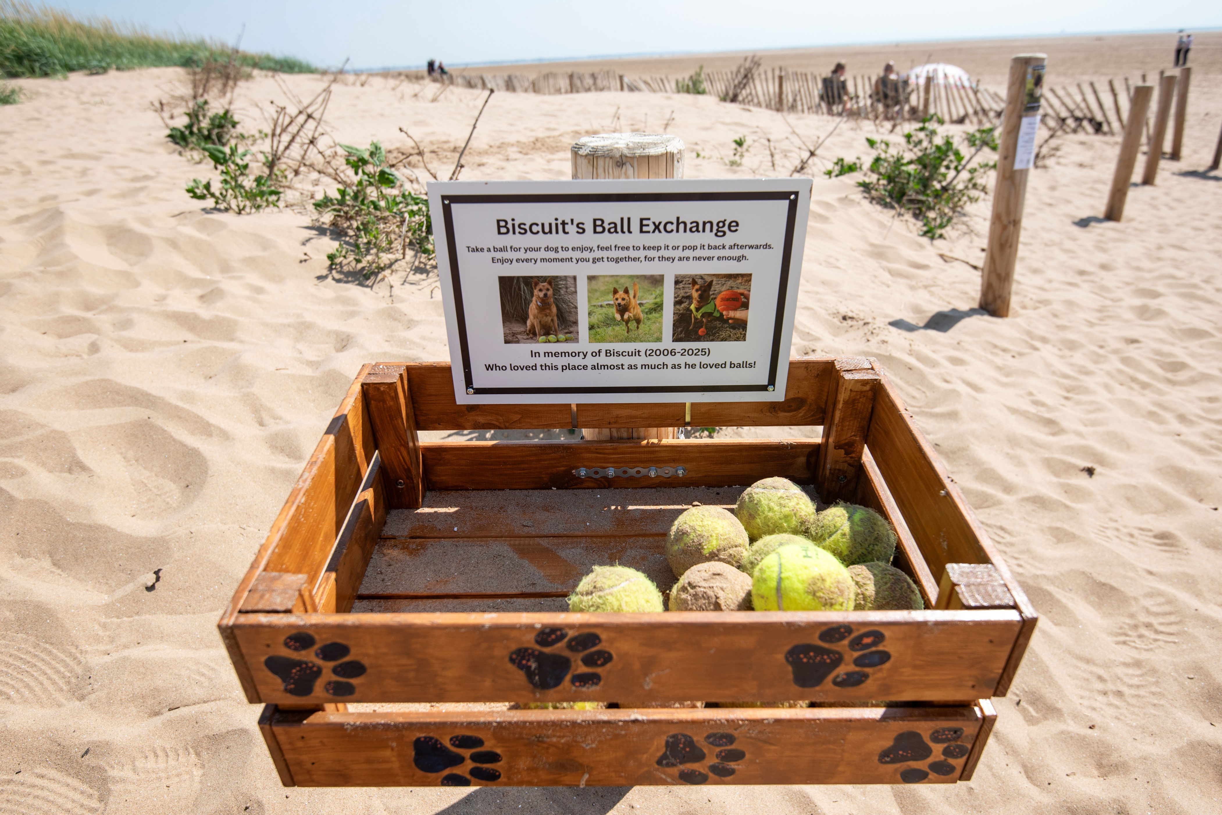 Heartbroken dog owner leaves Biscuit's Ball exchange legacy for beloved ...
