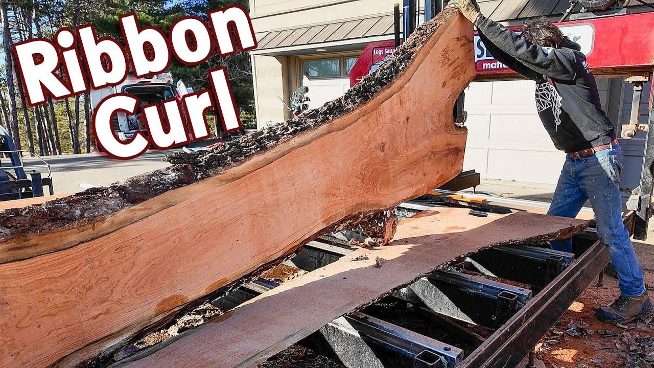 Another Log from the Giant Cherry Tree