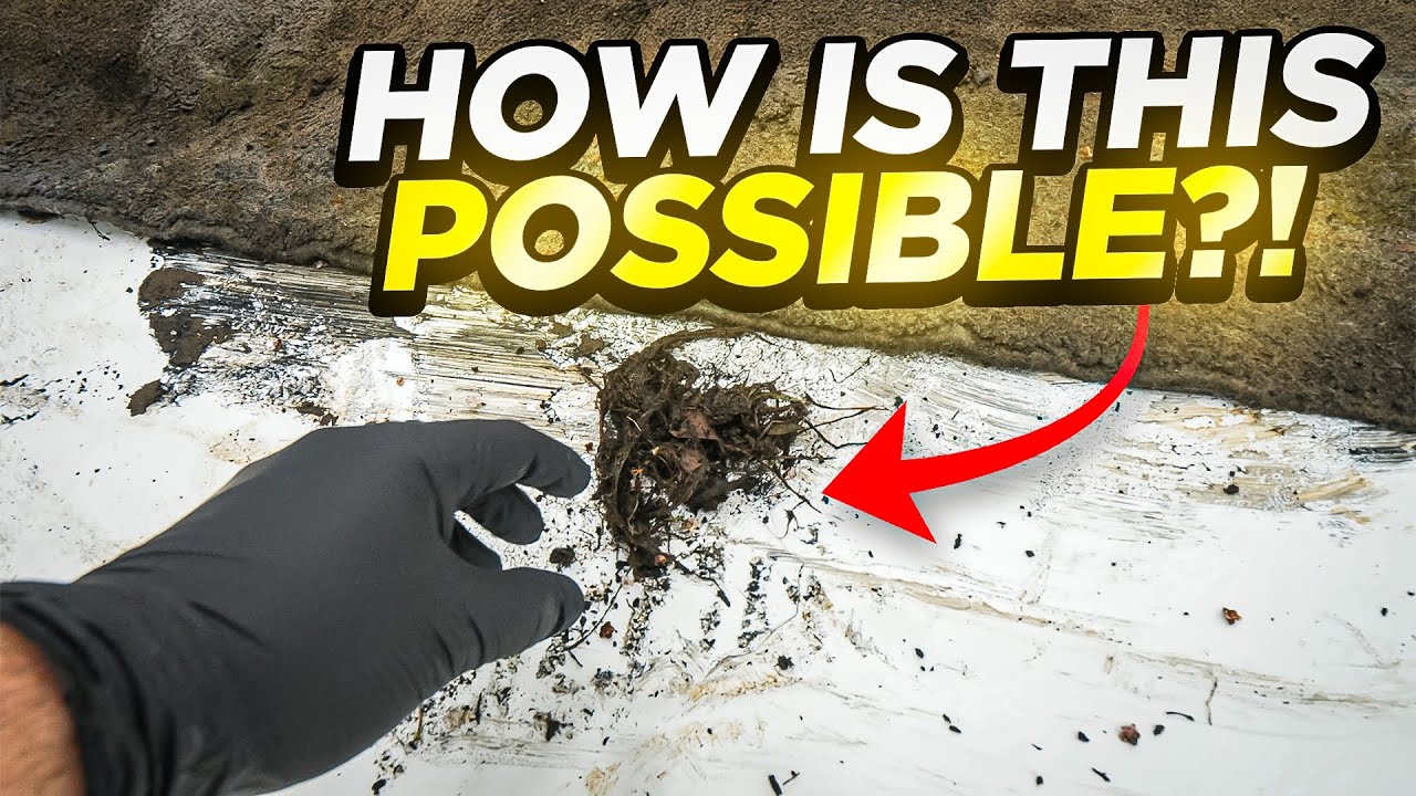 Its Just Crazy! How Much Dirt Can be In One Little Rug