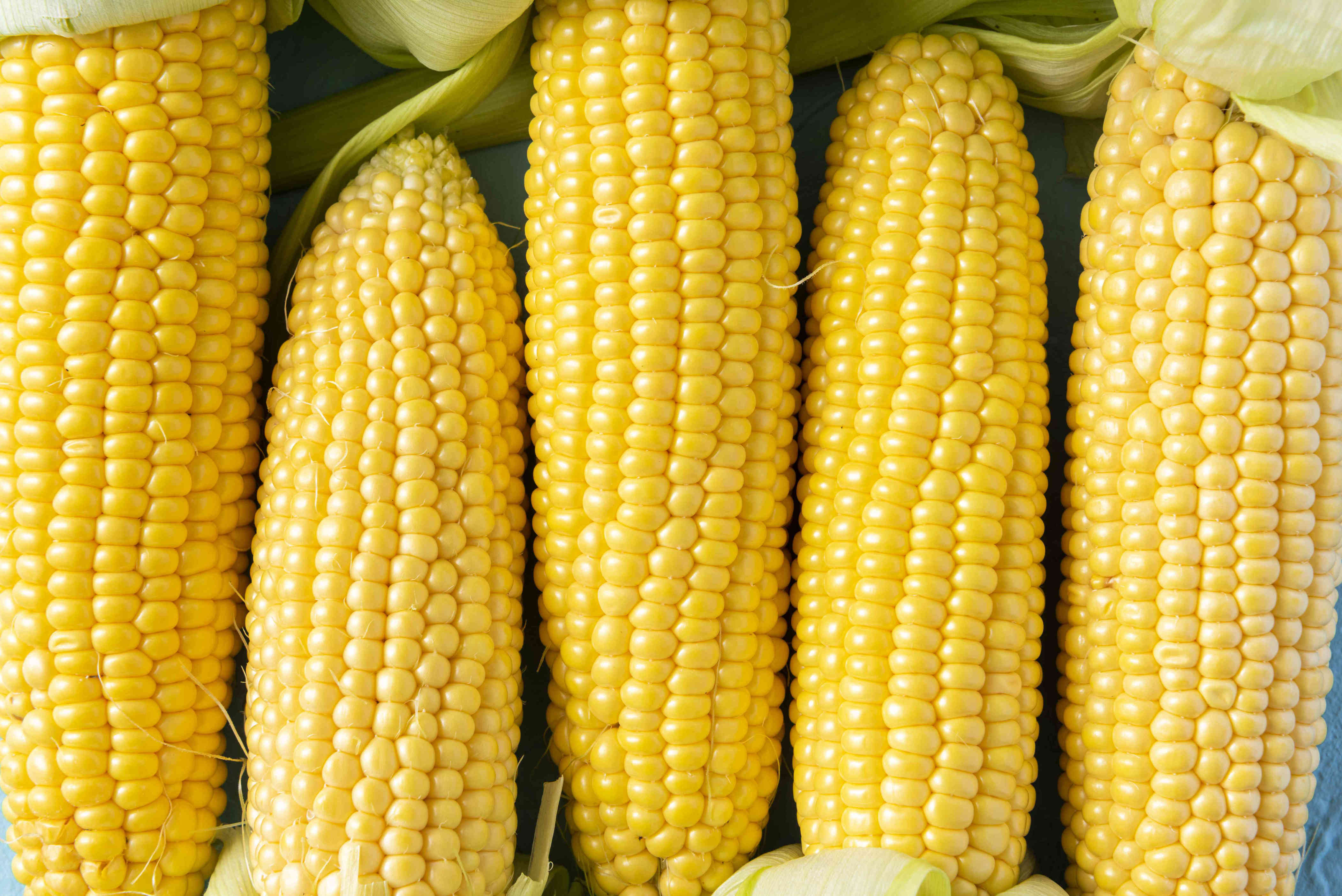 The Best Way to Store Corn, According to a Corn Farmer