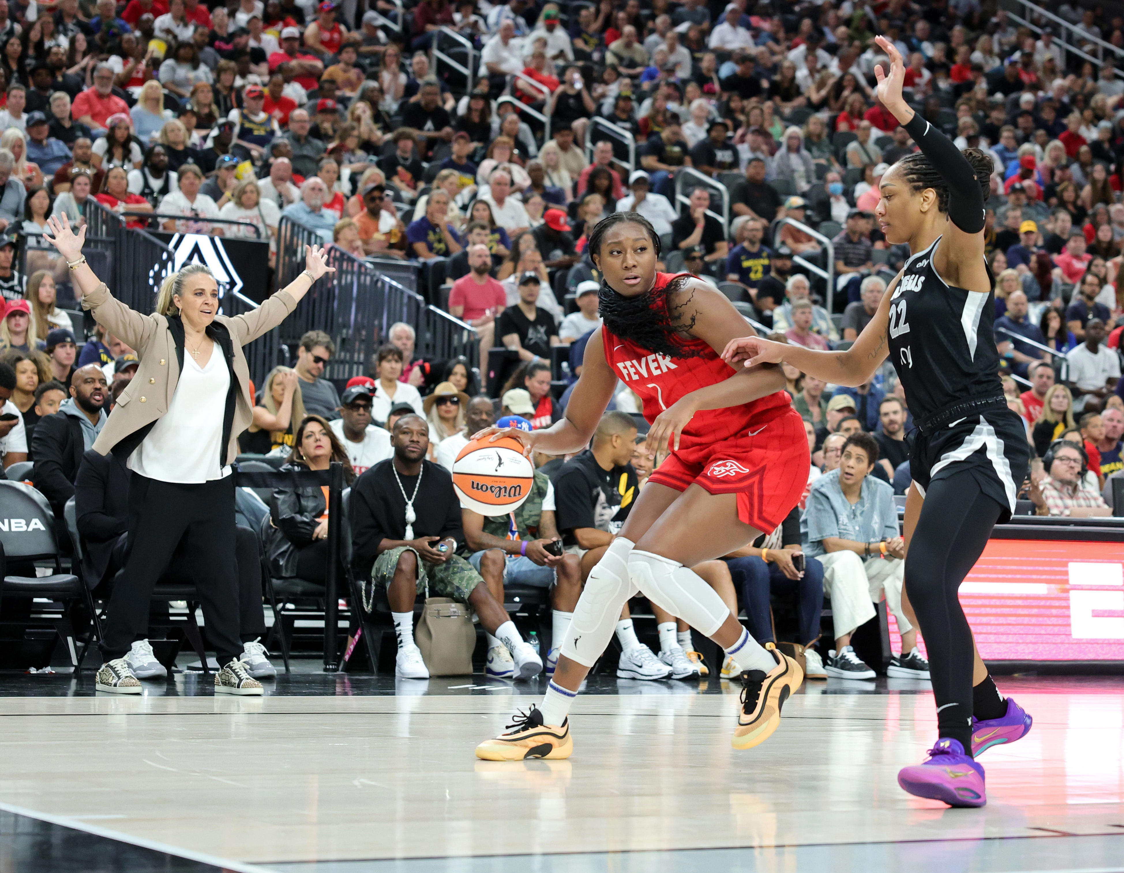 Three former South Carolina women's basketball players named 2025 WNBA ...