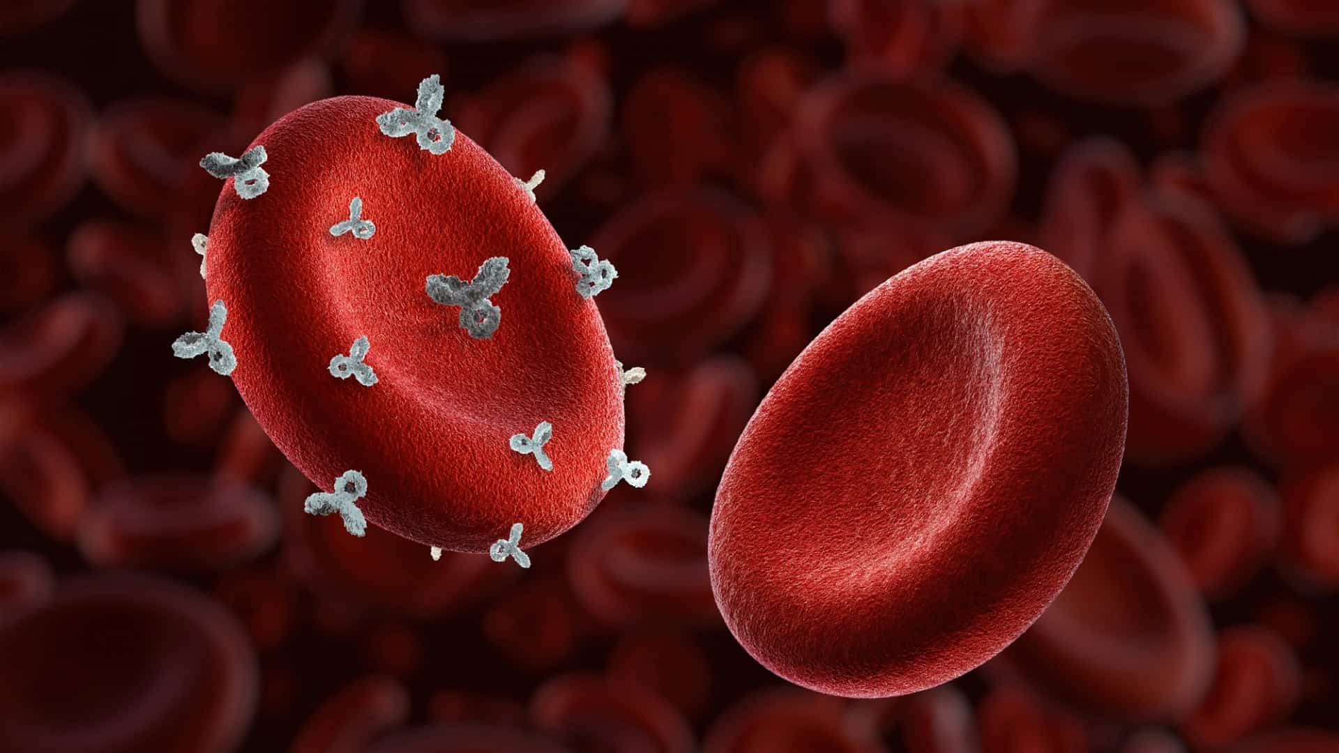 Does free will actually exist?