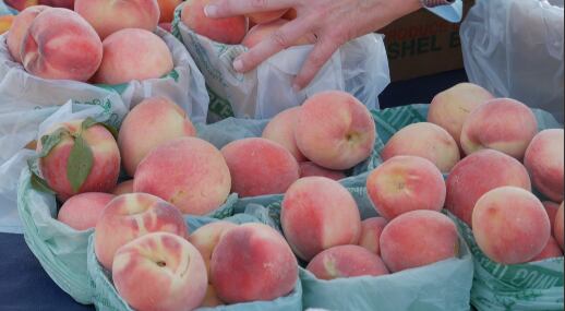 Seniors can sign up for a voucher to use at farmers markets