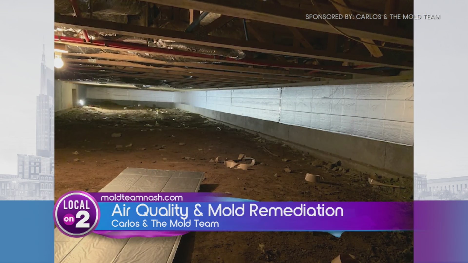 Carlos and the Mold Team