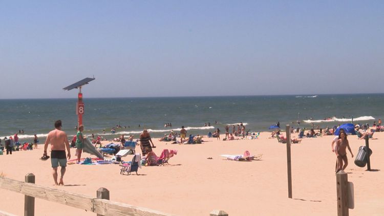 Here's how you can check if your favorite beach is closed for E. coli