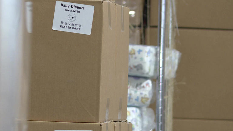 Village Diaper Bank reaches major milestone