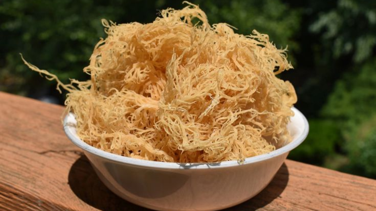 Sea moss skin benefits you didn’t even know existed
