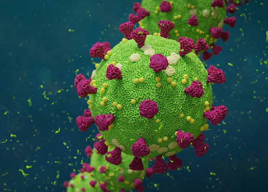 Multiple omicron subvariants responsible for latest Covid surge