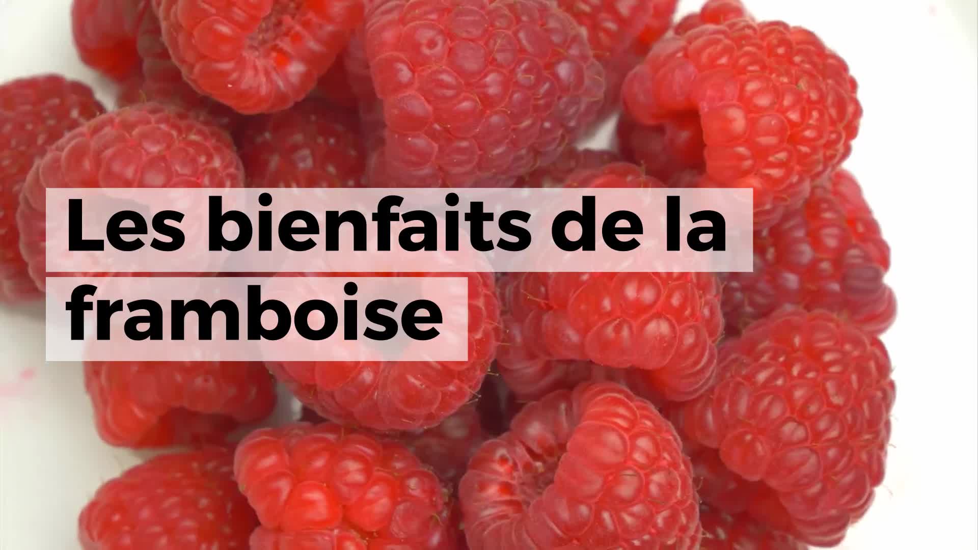 Les 6 bienfaits de la framboise