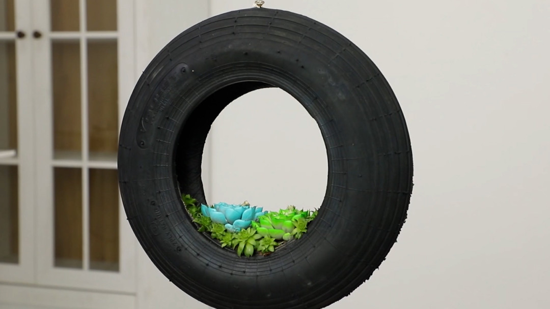 DIY Succulent Planting Ideas you’ll Love