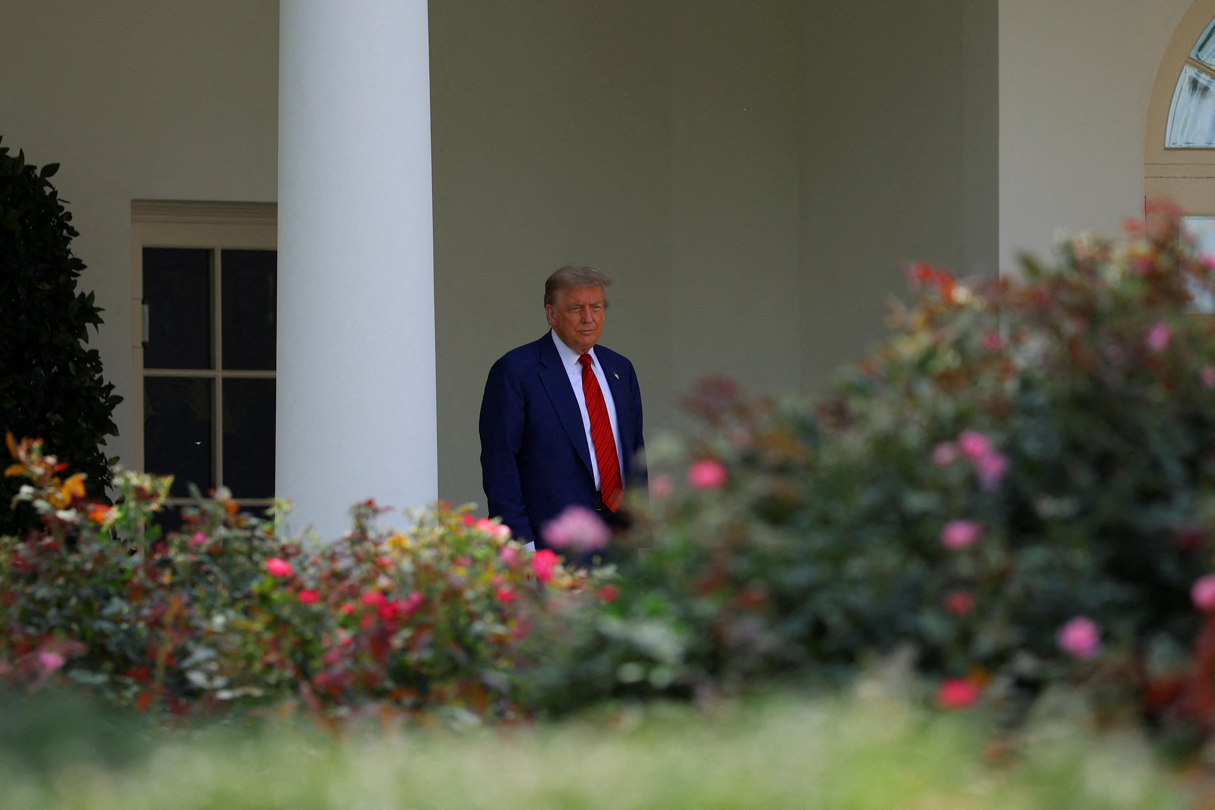 Grass for gravel: Trump's Rose Garden revamp makes progress