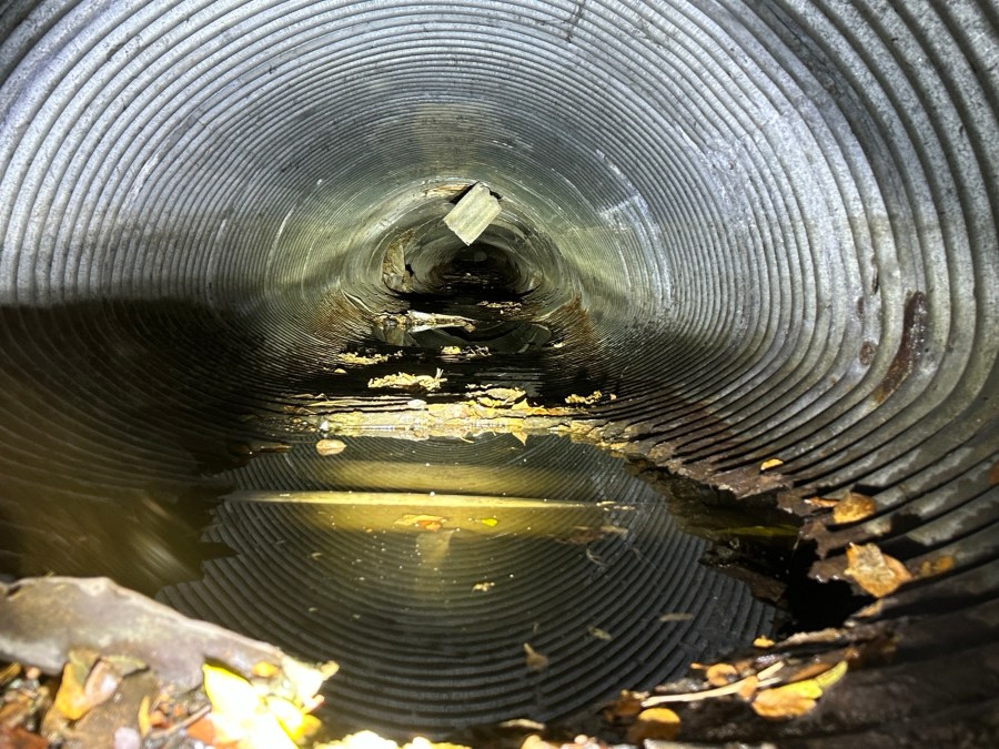 Stretch of Federal Boulevard will close starting this week for culvert ...
