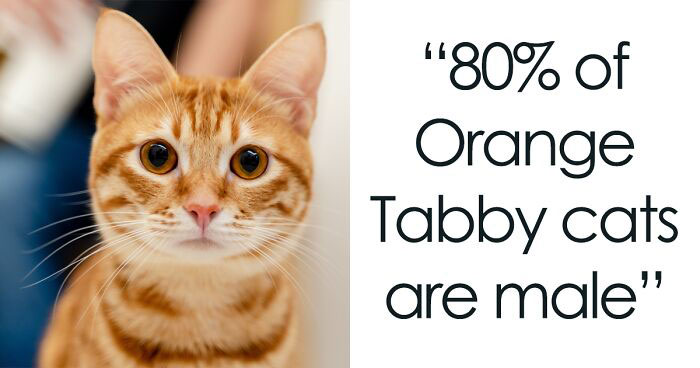 33 Weird, Fascinating, And Disturbing Statistics About Pretty Much ...
