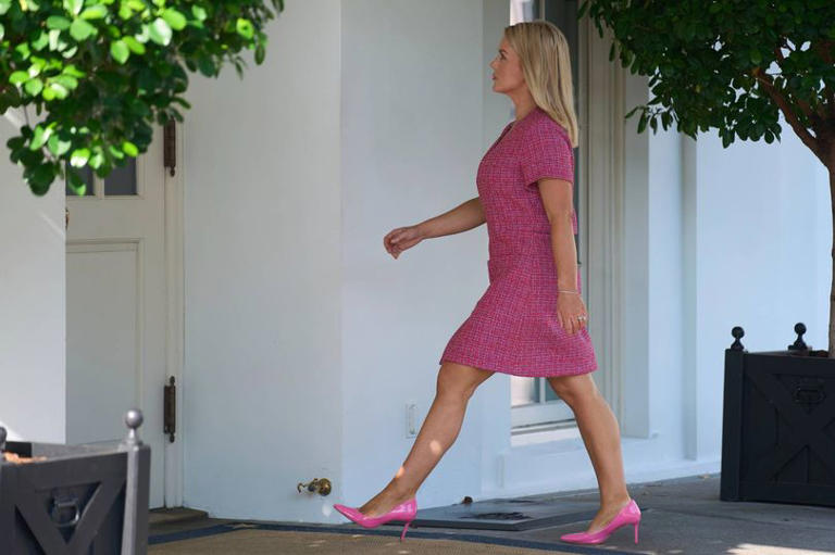 White House press secretary Karoline Leavitt channels inner 'Barbie ...