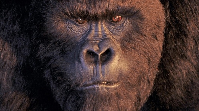 Monster Movies You've Probably Forgotten About