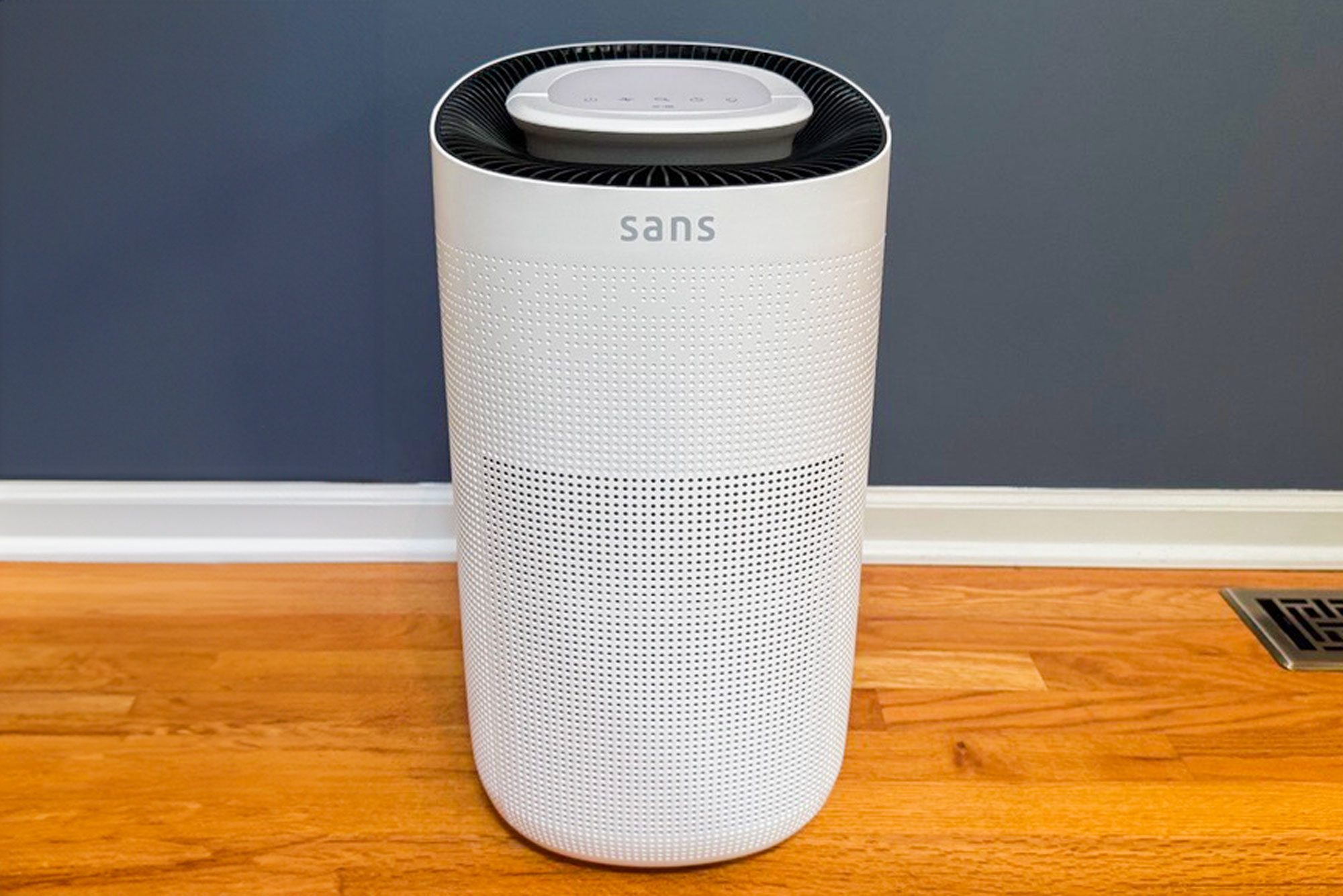 I tested the Sans air purifier, and it helped my allergies