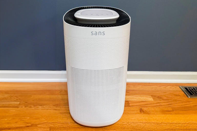 I tested the Sans air purifier, and it helped my allergies