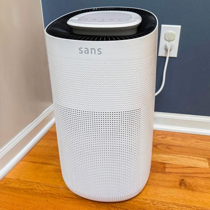 I tested the Sans air purifier, and it helped my allergies