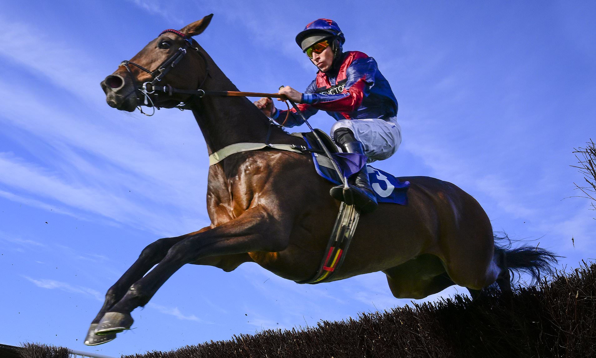 Robin Goodfellow's racing tips: Best bets for Tuesday, June 24