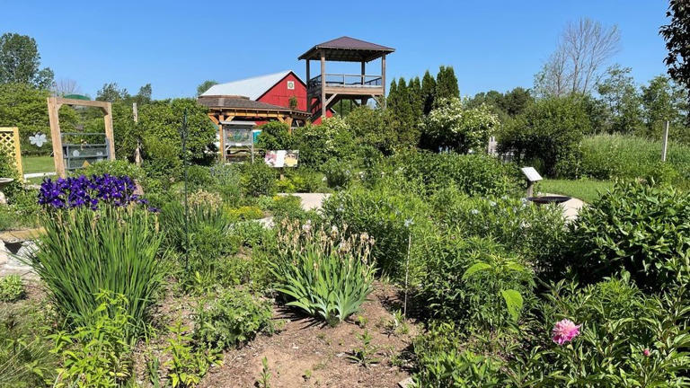 Pollinators impact ecosystem at Woodland Dunes Nature Center in Two Rivers