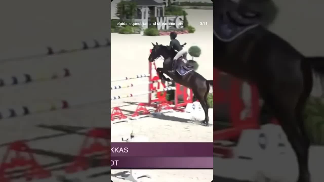 streamhorse: wec international arena show jumping with bella and athena
