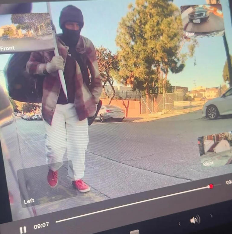 Tesla owner baffled after catching 'weird' behavior on car's security ...