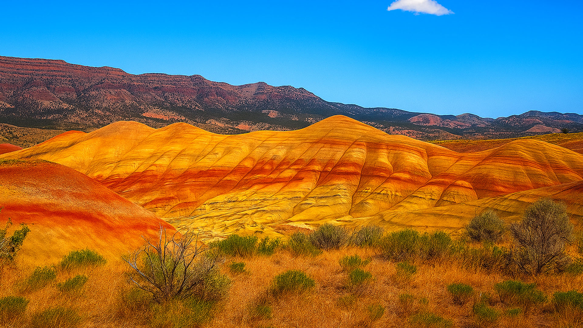 Painted Hills, Oregon – A 4K Journey Through John Day Fossil Beds