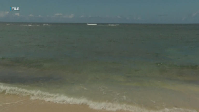 Big Island visitor drowns at beach