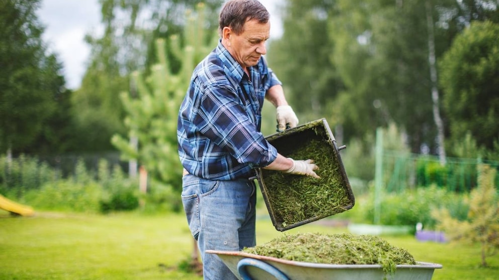 Why the Smell of Freshly Cut Grass Is a Warning Sign