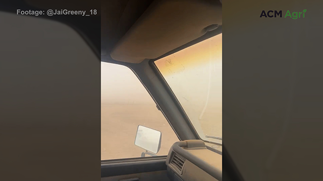 Western Eyre Peninsula dust storm