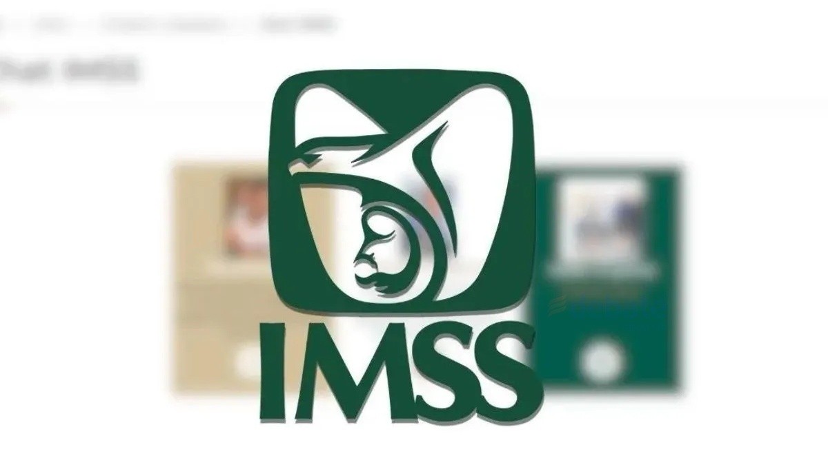 IMSS y Consar advierten nuevos fraudes en Afore, trámites, semanas ...