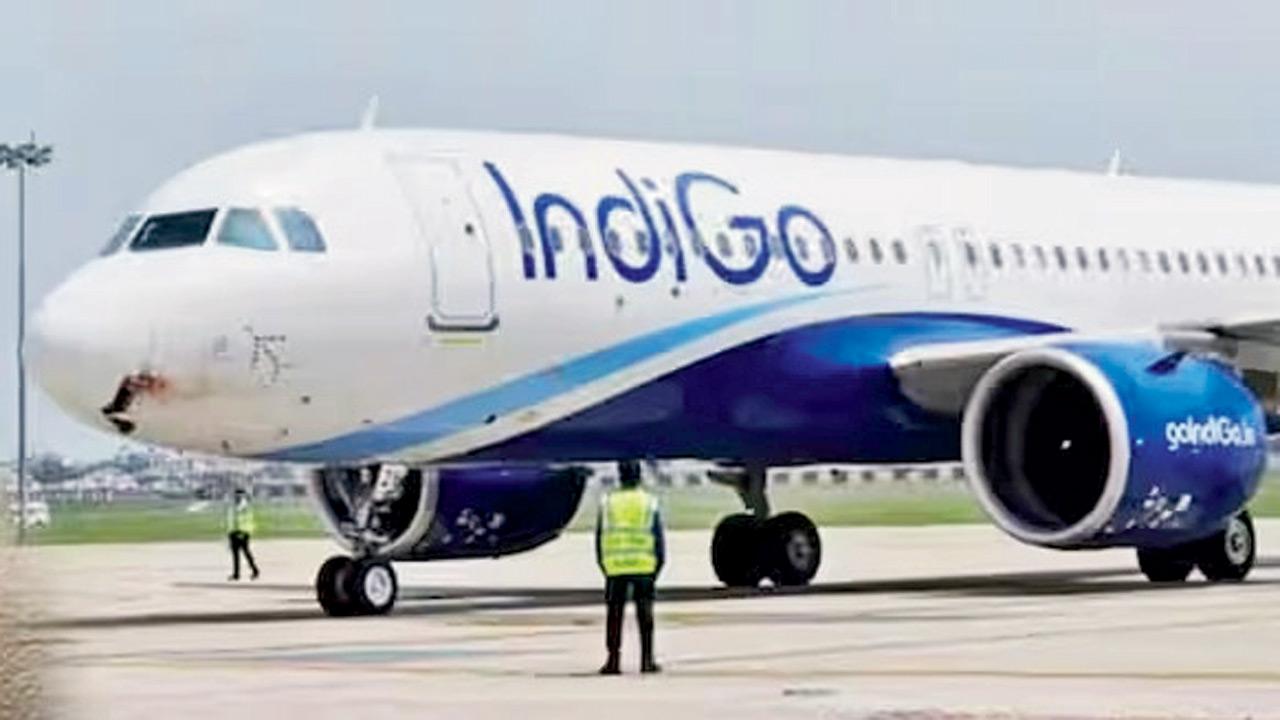IndiGo employee alleges casteist abuse by seniors; files police complaint