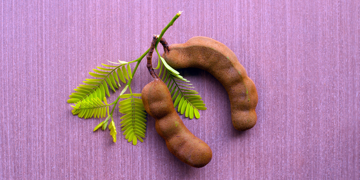 Cuidados y beneficios del tamarindo: propiedades, usos y recetas