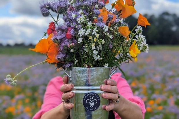 Pick your own flower farm set to reopen near Helmsley