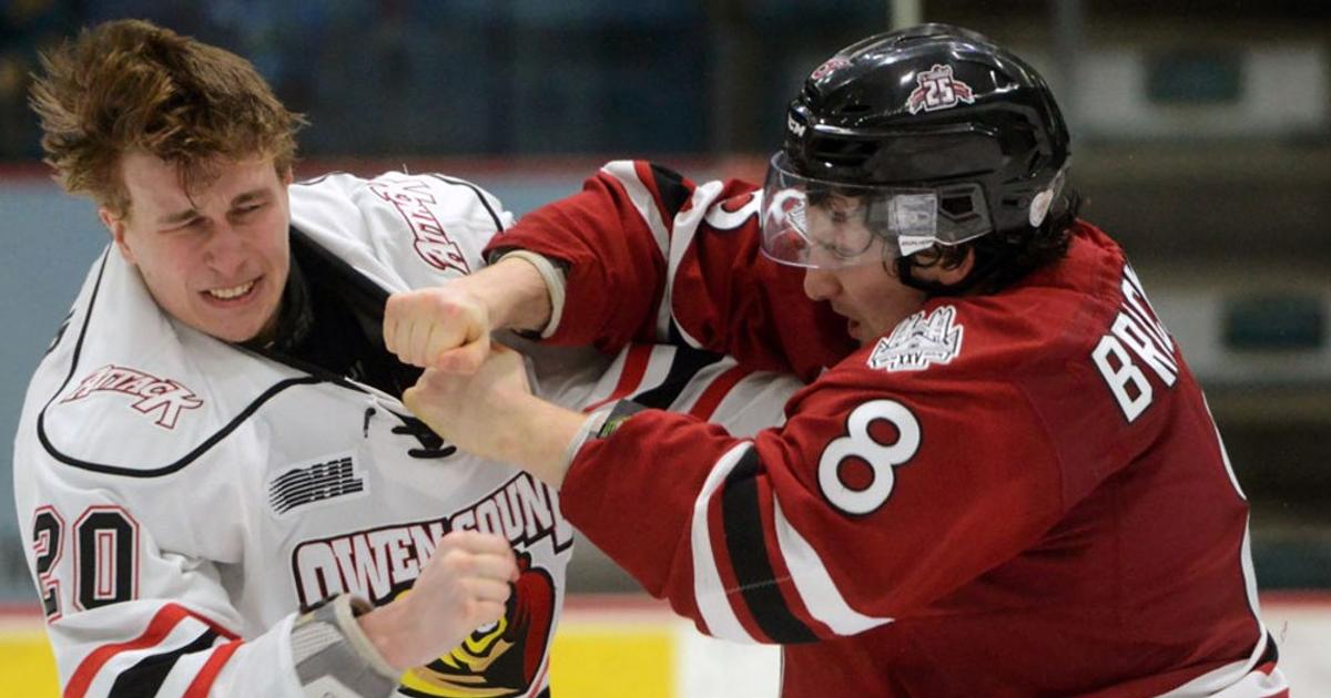 Federal agency pushes for complete ban on hockey fighting in Canada