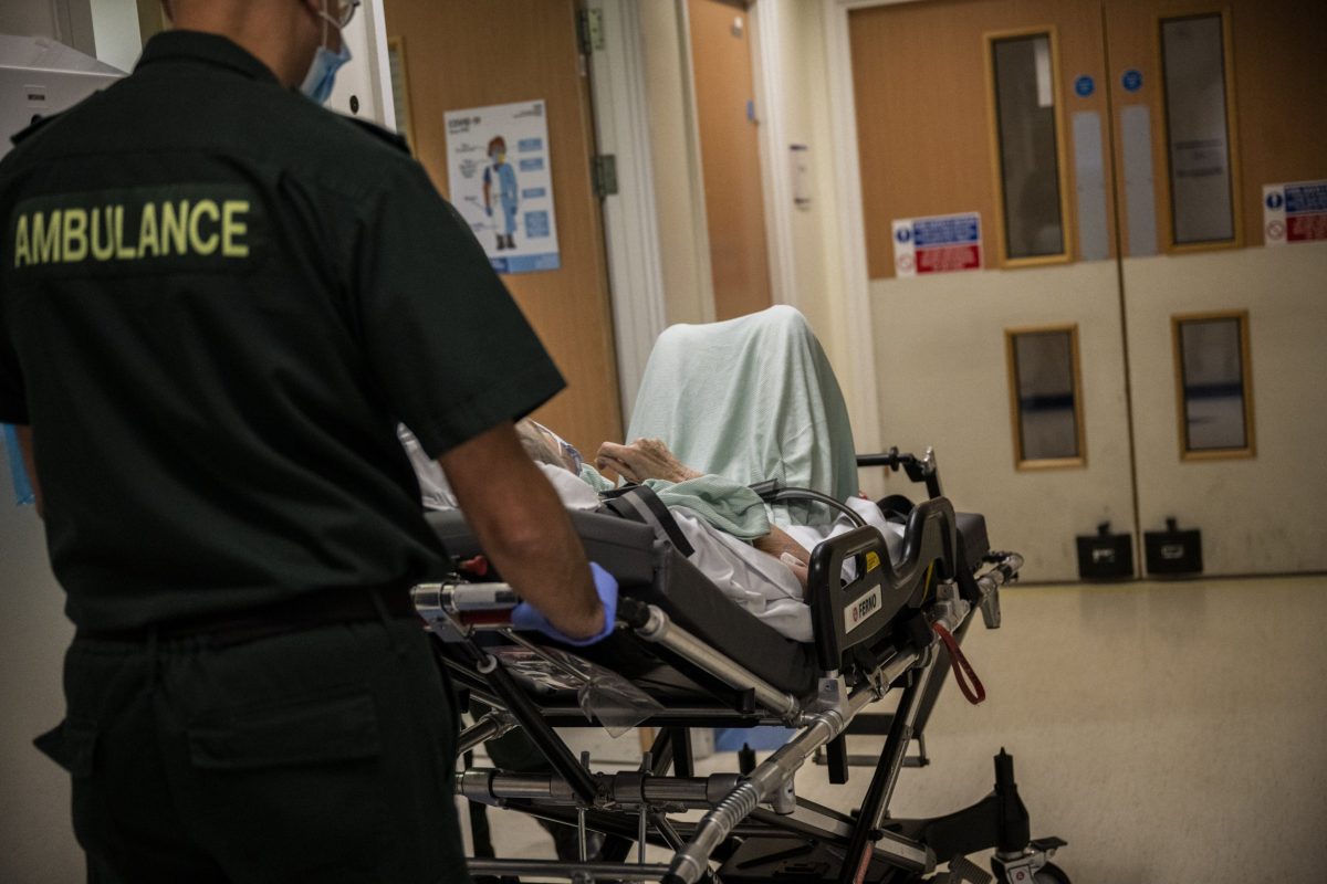 New ‘Stratus’ Covid variant fuels fears of a summer wave