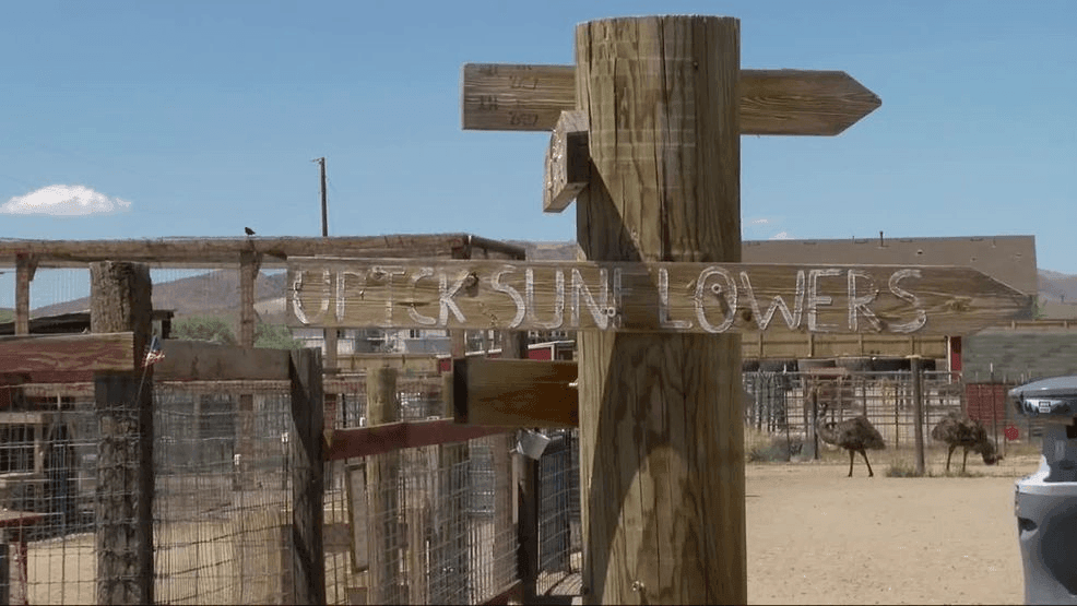 Sparks City Council approves Andelin Family Farm rezoning proposal ...