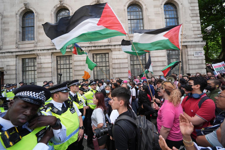Palestine Action in High Court showdown to overturn government ban