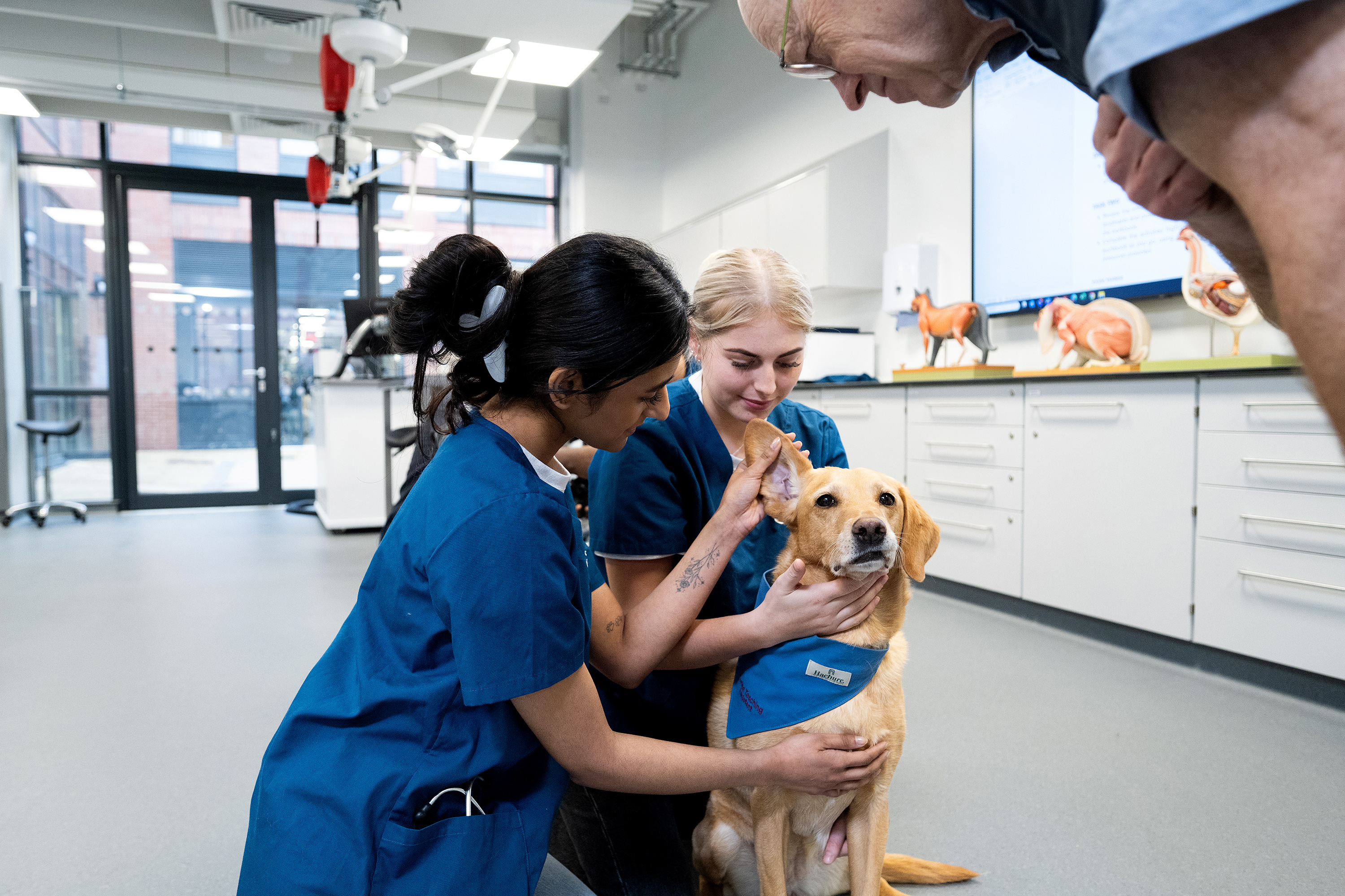 19 pics of UCLan's new School of Veterinary Medicine as it officially opens