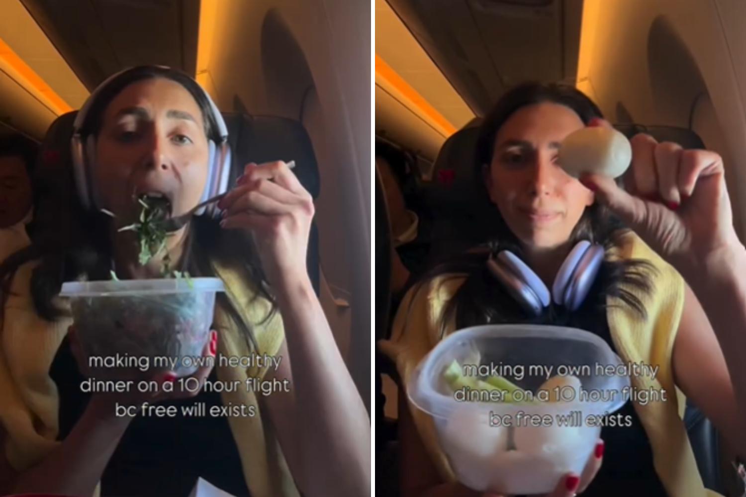 Woman's meal on 10 hour flight called a crime—she insists it "didn't smell"