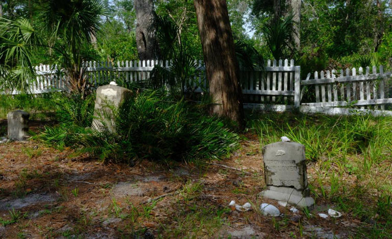 Manatee County is buying forest land around an old cemetery. Here's why
