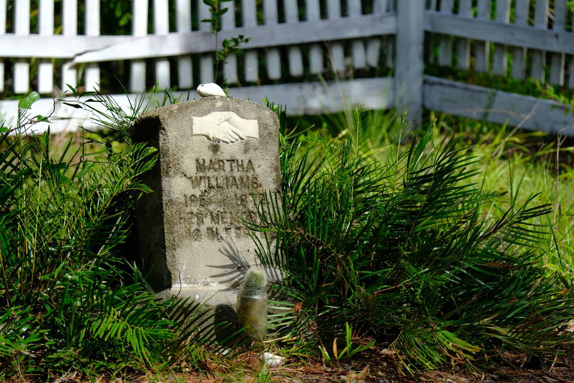 Manatee County is buying forest land around an old cemetery. Here's why