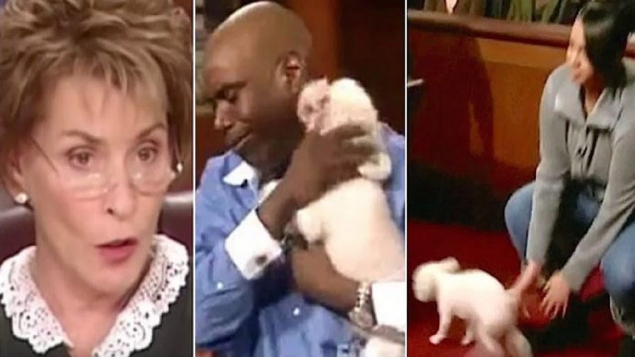 Judge Judy Lets A Stolen Dog Loose In Court So It Could Identify Its True Owner