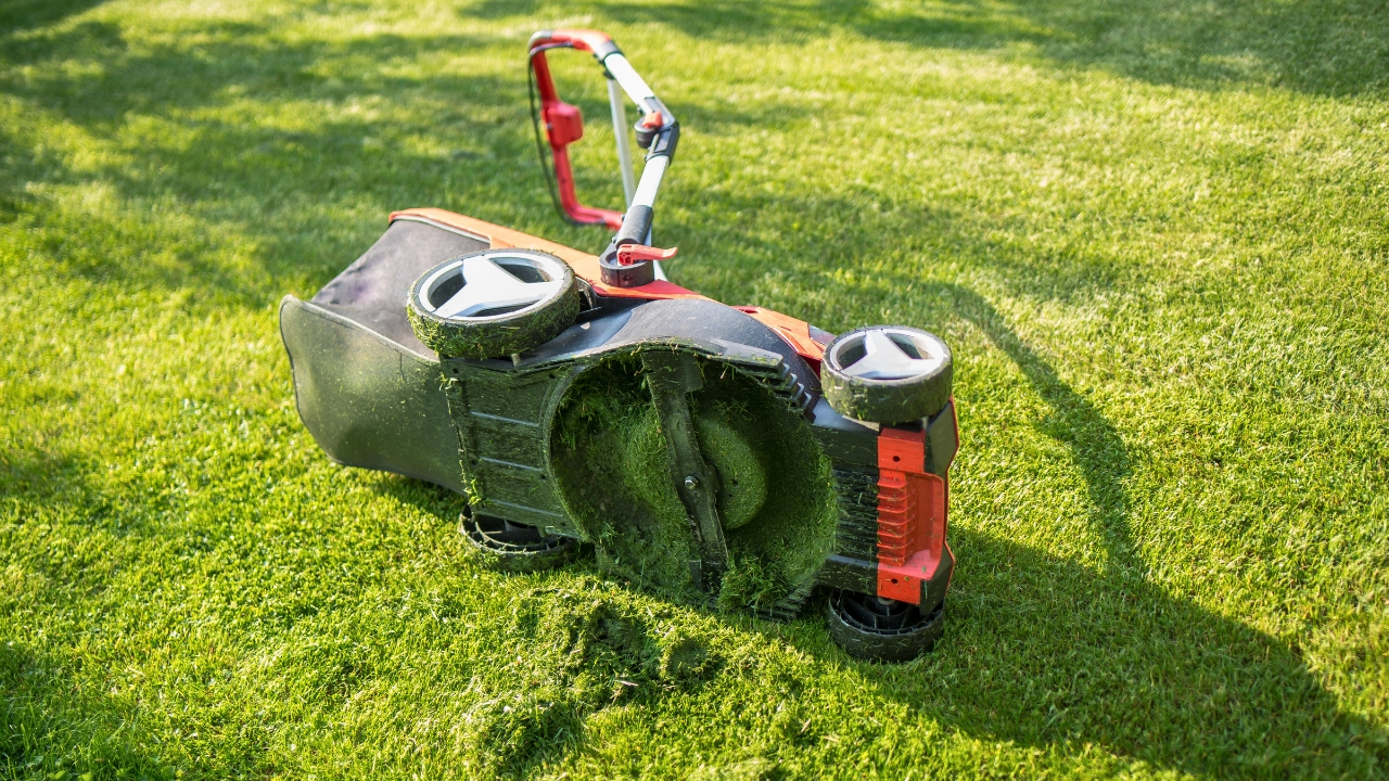 10 Mower Issues You Could’ve Avoided With 5 Minutes of Maintenance