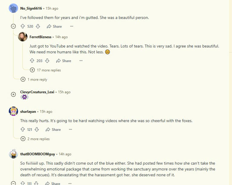 YouTuber Mikayla Raines dies by suicide after bullying