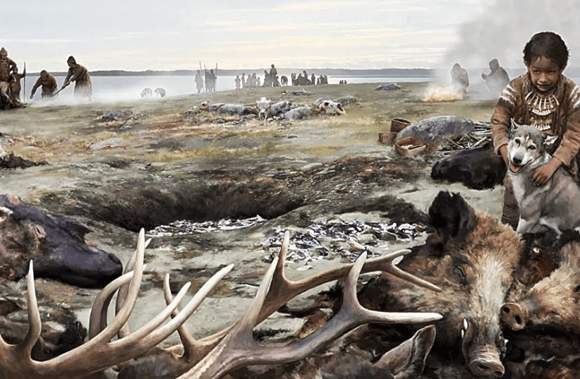 Study reveals Stone Age methods of extracting animal teeth for jewelry