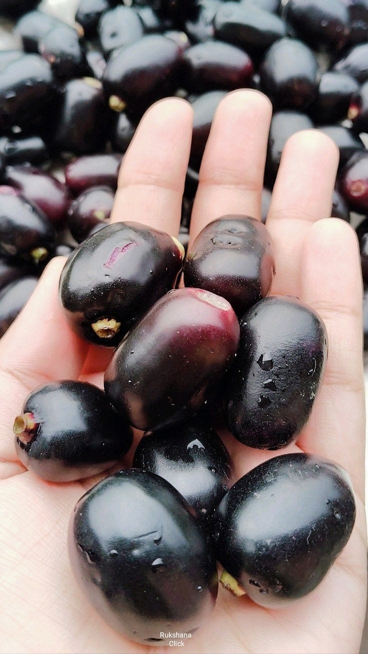 5 powerful health benefits of eating Jamun