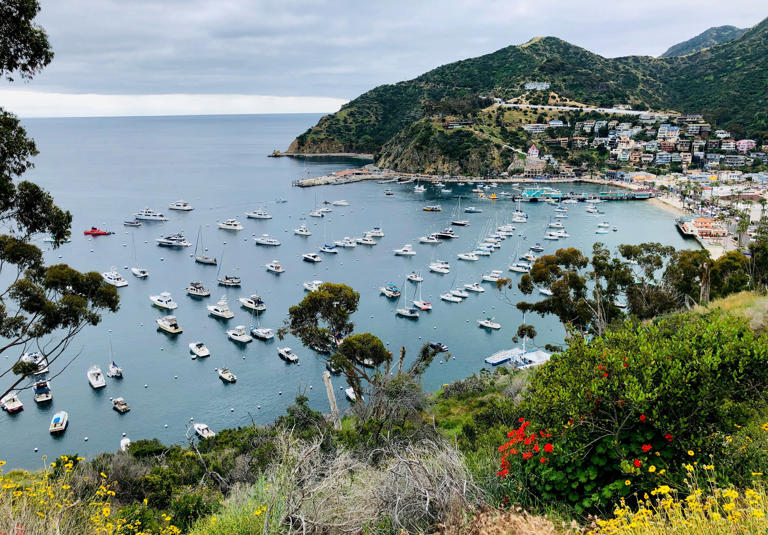 Catalina Island feels like an idyllic escape from reality – and it's ...