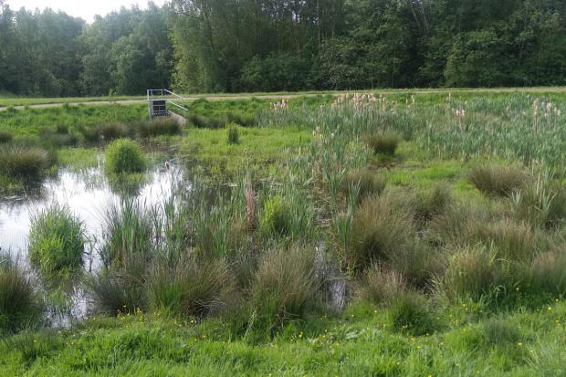 Garrowhill flood risk lowered with new £1.2m drainage basin